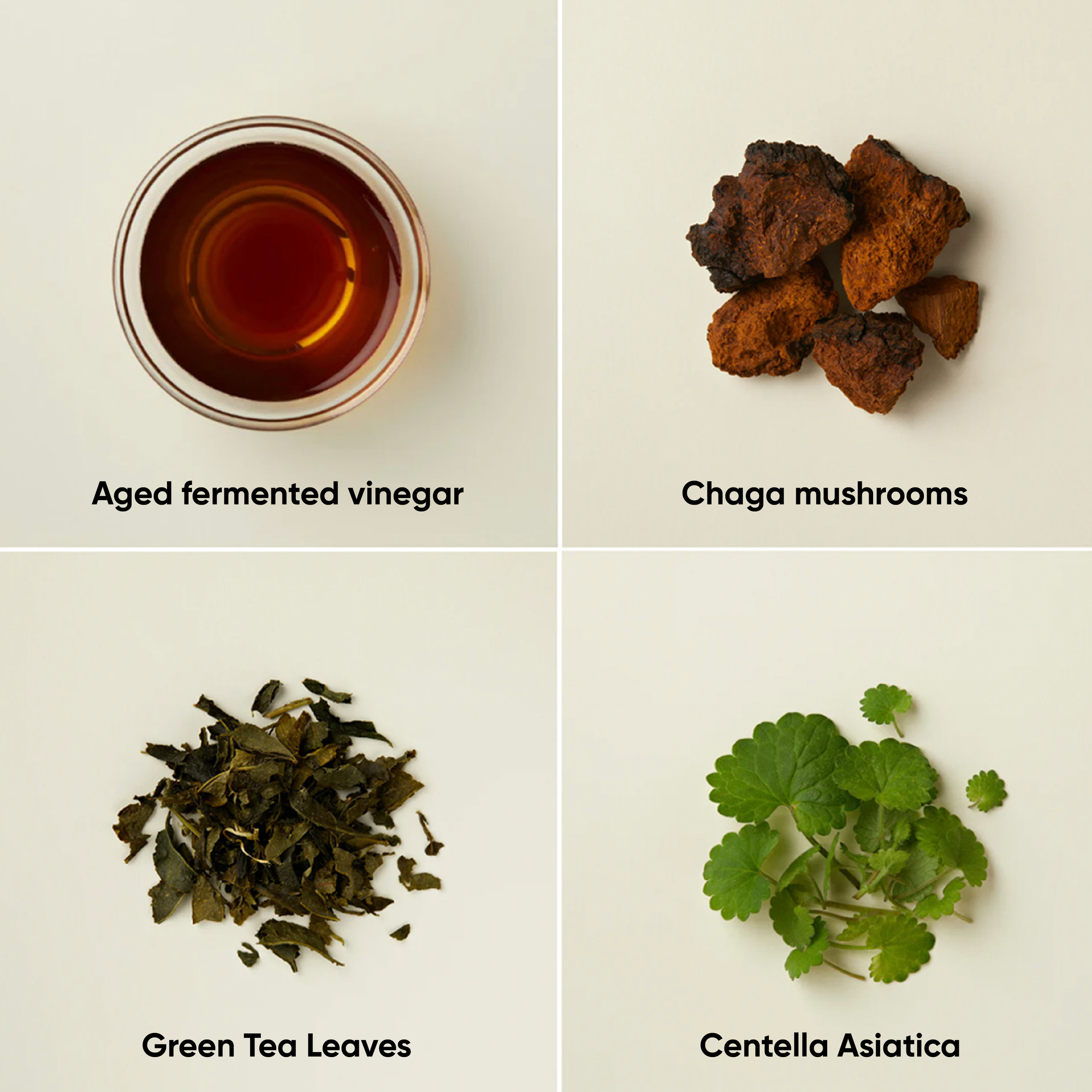 Chaga Jelly Low pH Cleanser - 107 Beauty